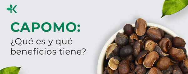 Capomo: ¿Qué es y qué beneficios tiene? - Kapomo