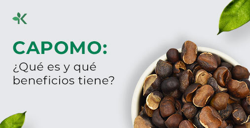 Capomo: ¿Qué es y qué beneficios tiene? - Kapomo