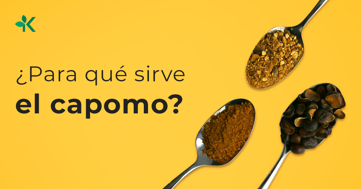 ¿Para qué sirve el capomo? - Kapomo
