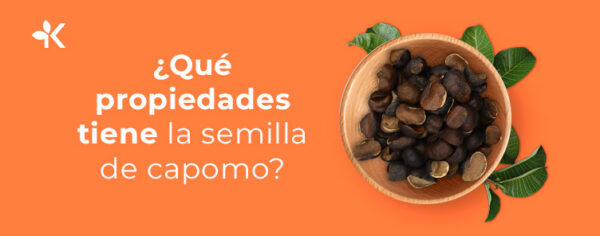 ¿Qué propiedades tiene la semilla de capomo? - Kapomo