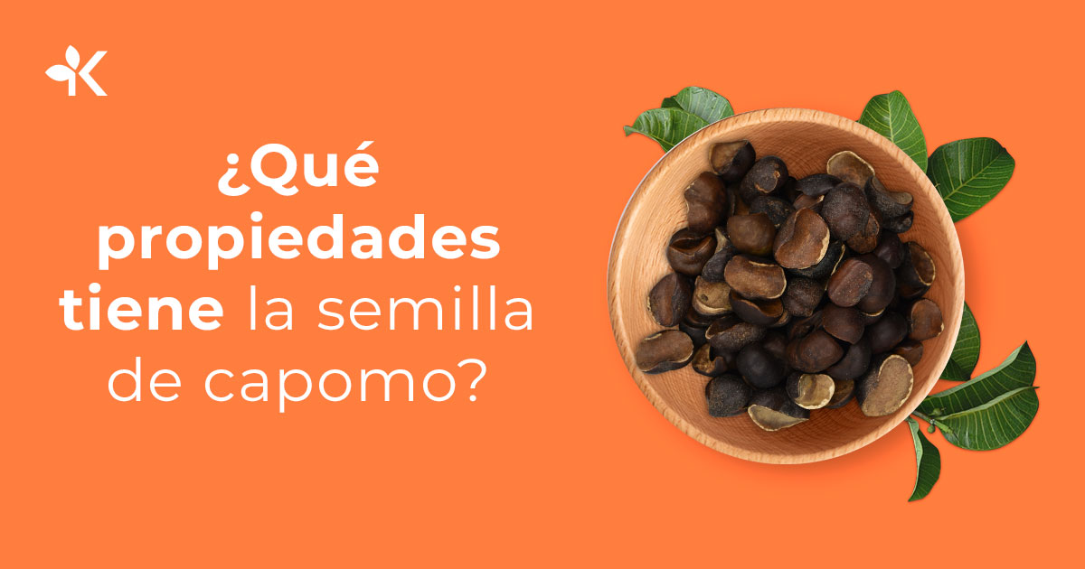 ¿Qué propiedades tiene la semilla de capomo? - Kapomo