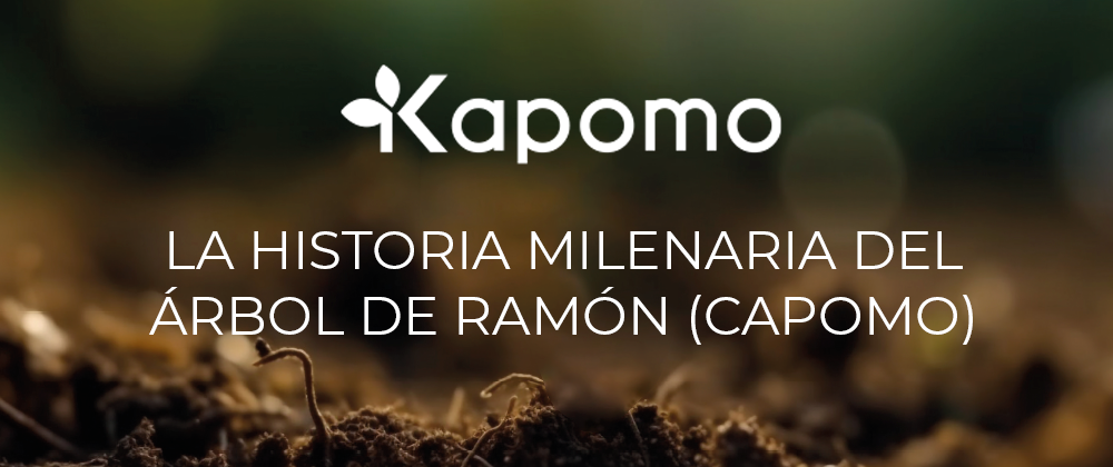 La historia milenaria del árbol de Ramón (capomo) - Kapomo